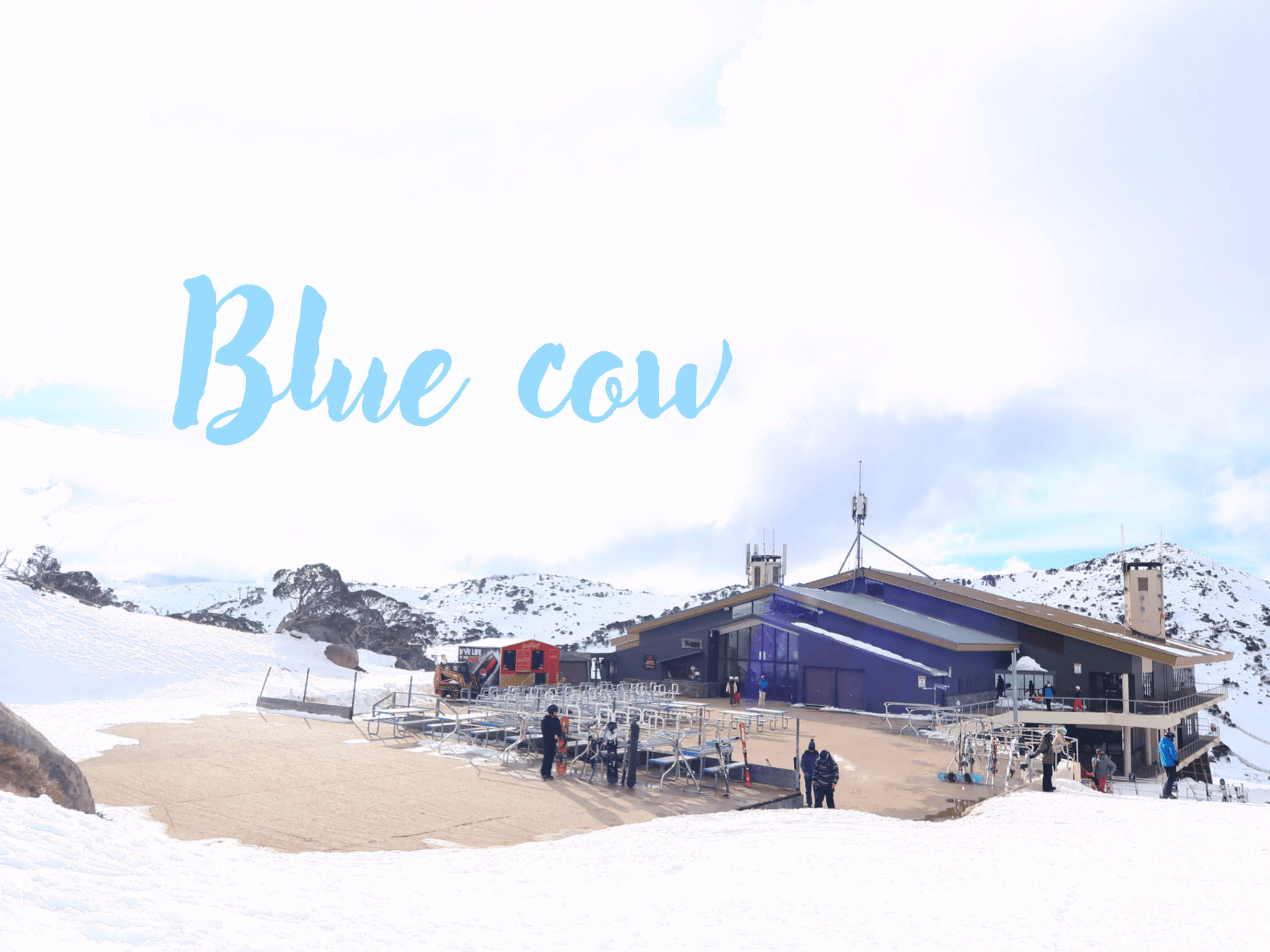 澳洲雪山｜藍牛滑雪場Blue Cow＆雪山火車Skitube，Perisher雪山火車最高終點站 – Chieh is nut