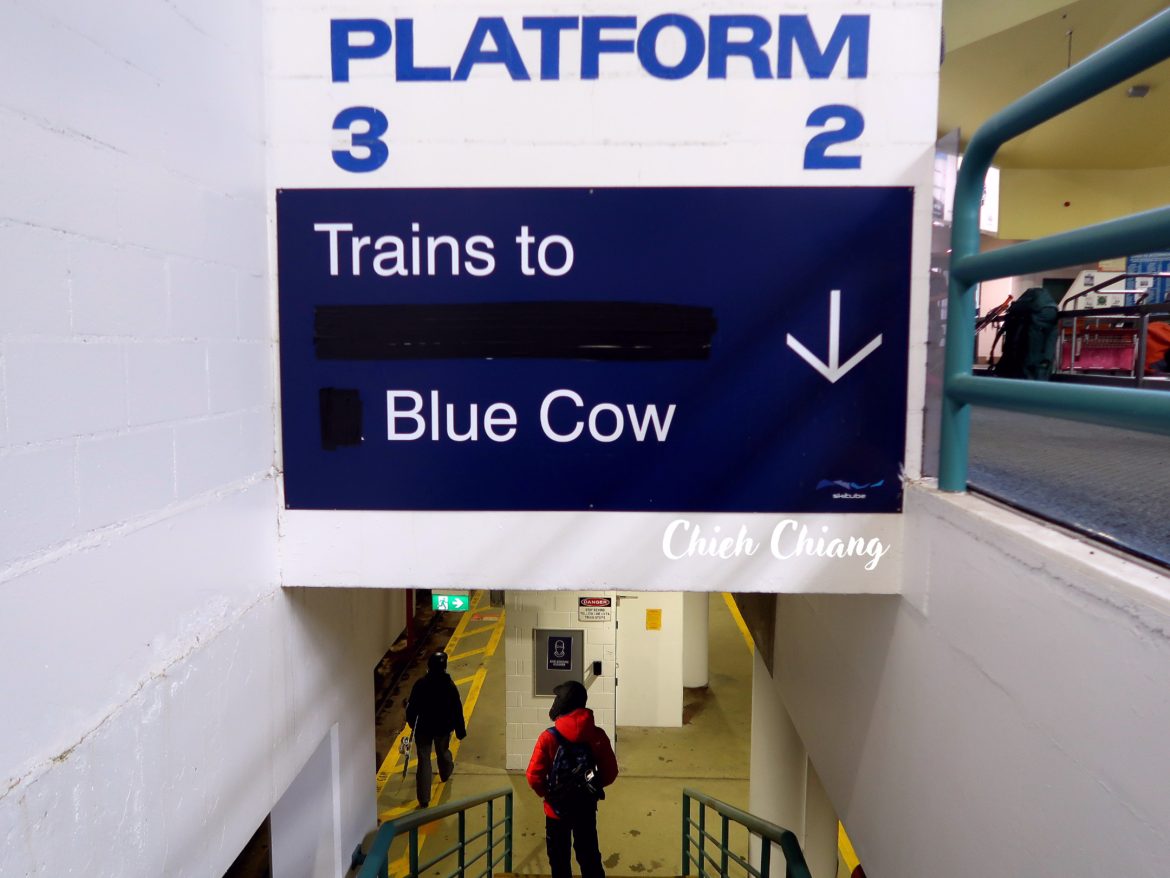 澳洲雪山｜藍牛滑雪場Blue Cow＆雪山火車Skitube，Perisher雪山火車最高終點站 – Chieh is nut